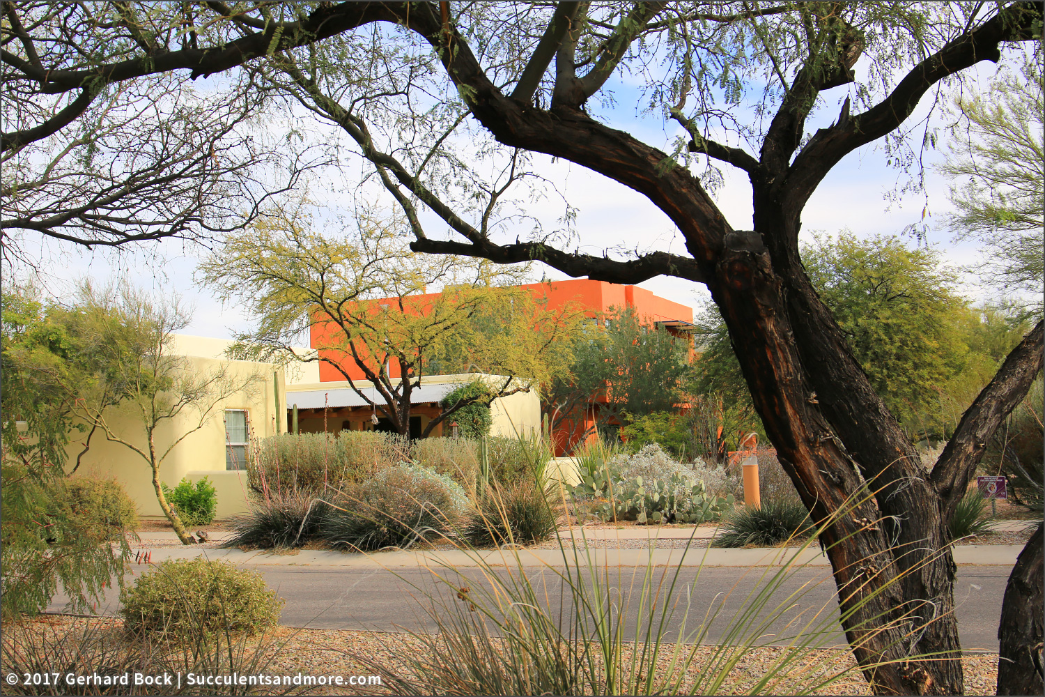 Tucson's Civano community: where I'd love to live