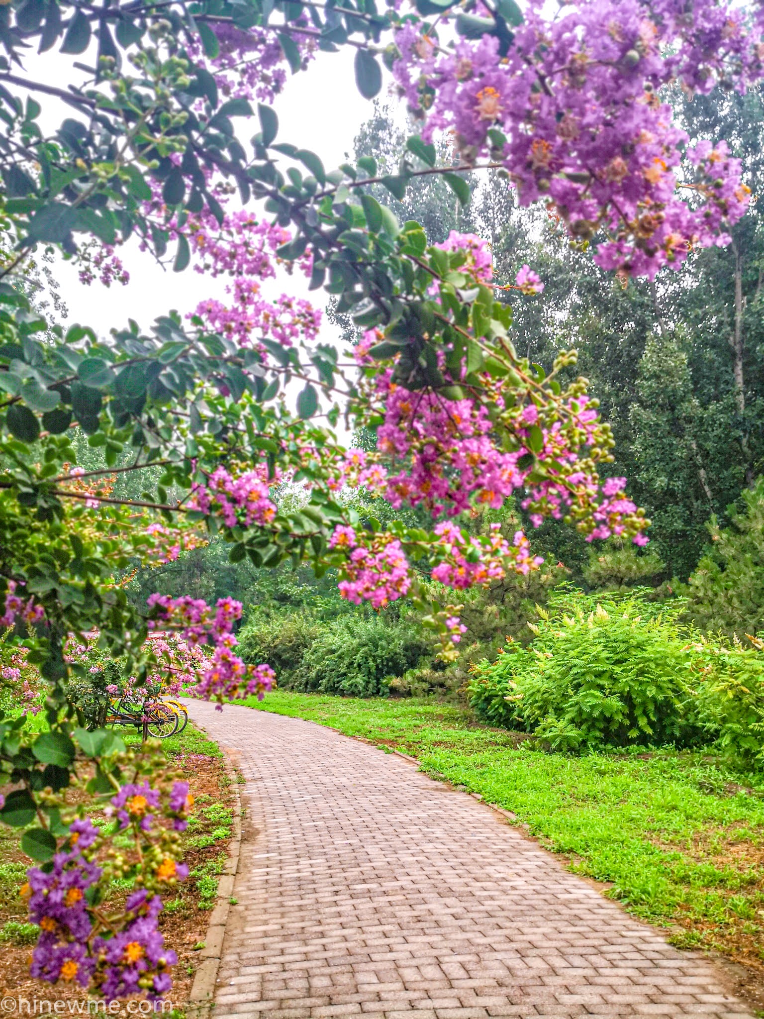 26+ flower landscape 5 post-production of photographic, come to see my ...