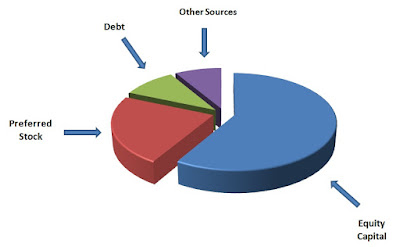 Capital Structure - Definition & Meaning Explanation | Business Consi