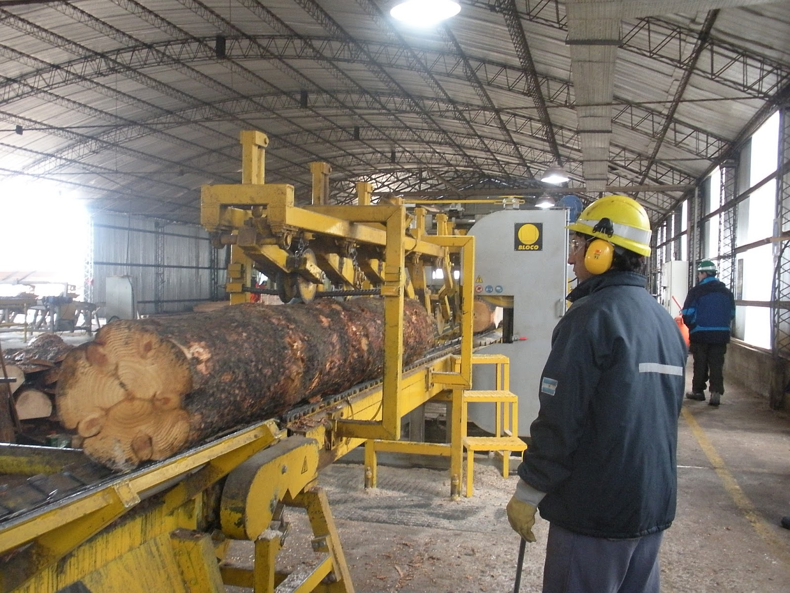 Patagonia Andina Forestal: La Directora de Producción Forestal realizó ...