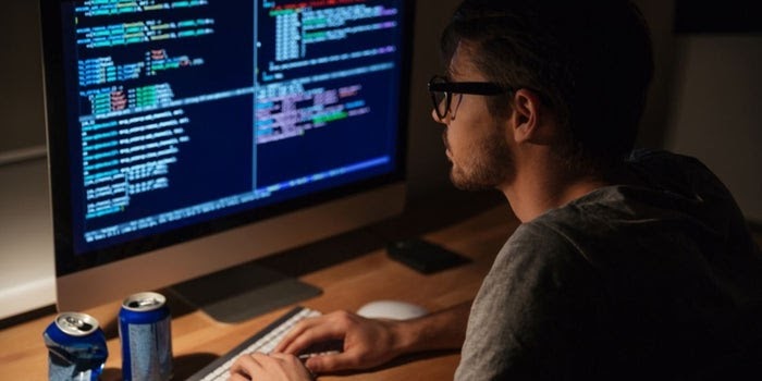 Apa itu software developer?