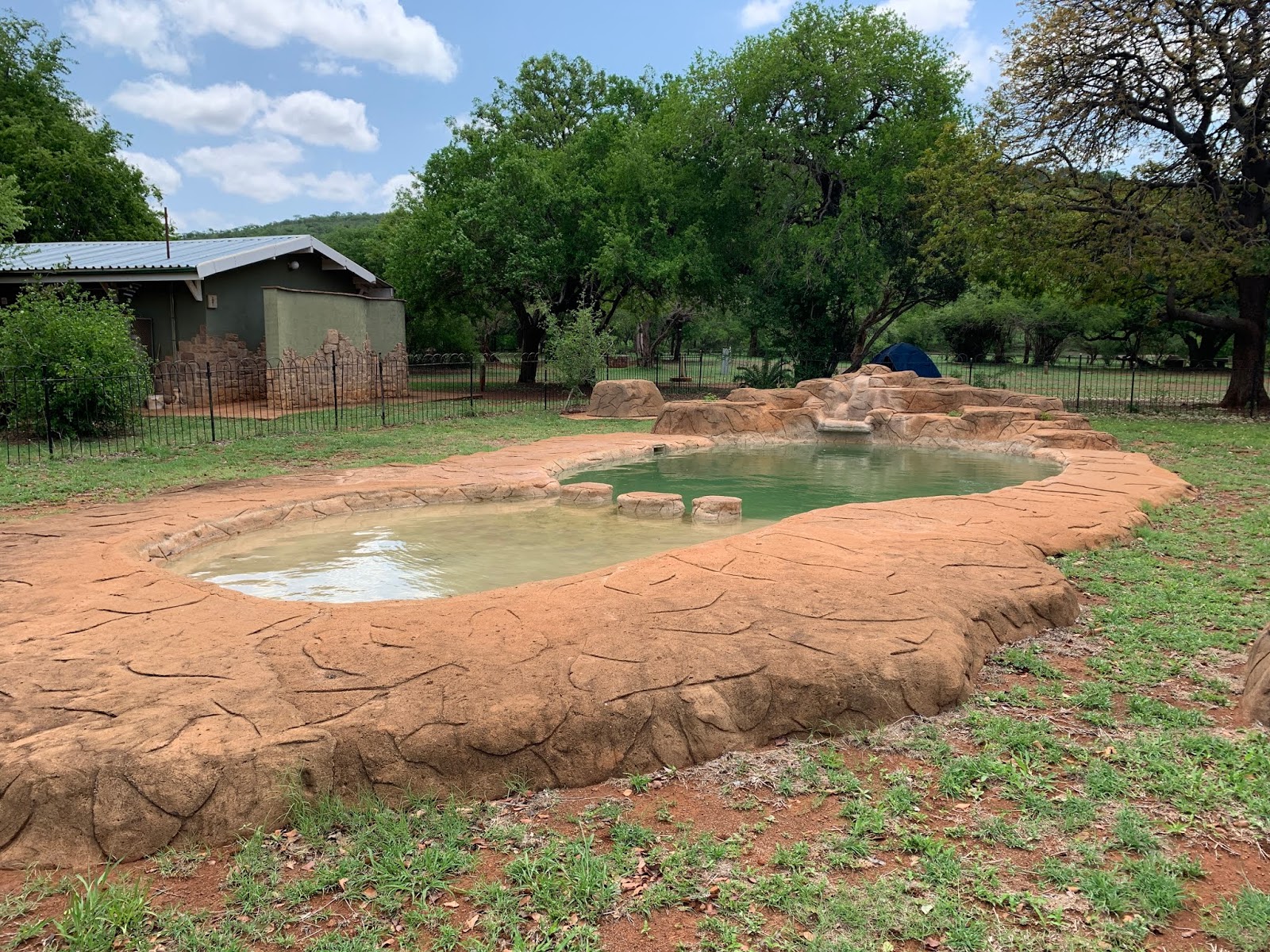 Far and Wild Safaris Blog: Mkuze Game Reserve - Zululand