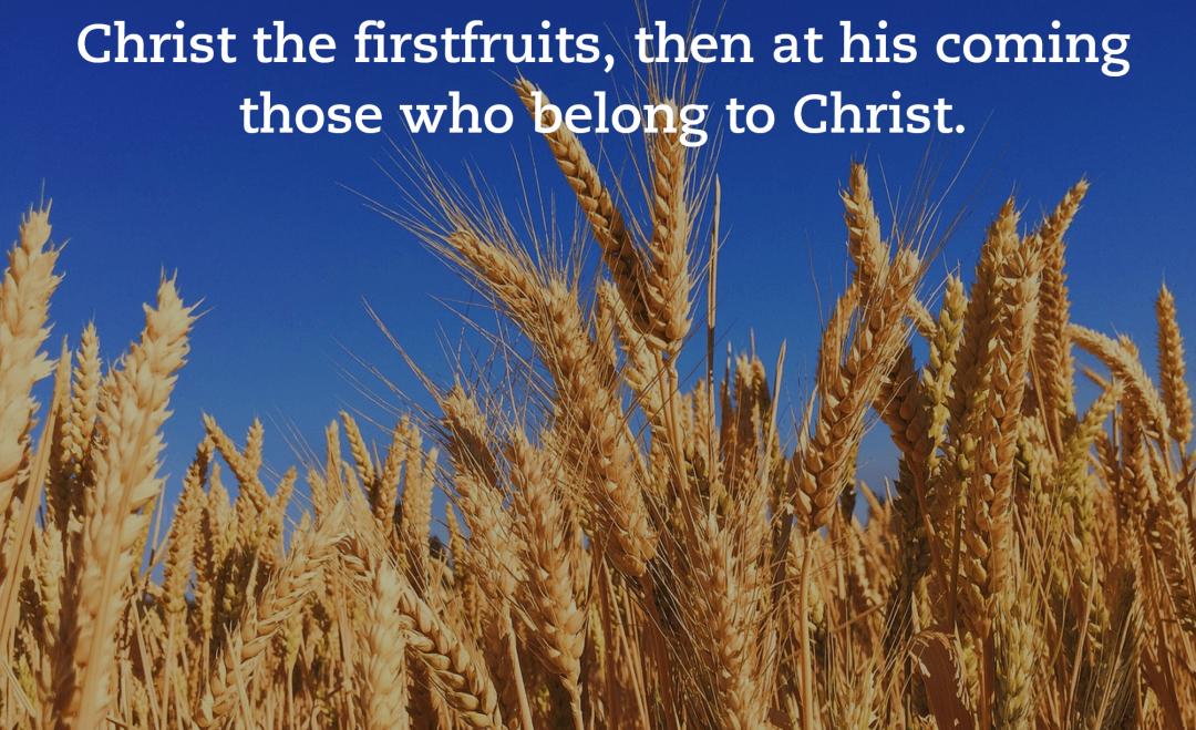 Between the Ears: The Omer - Make Mine A Double