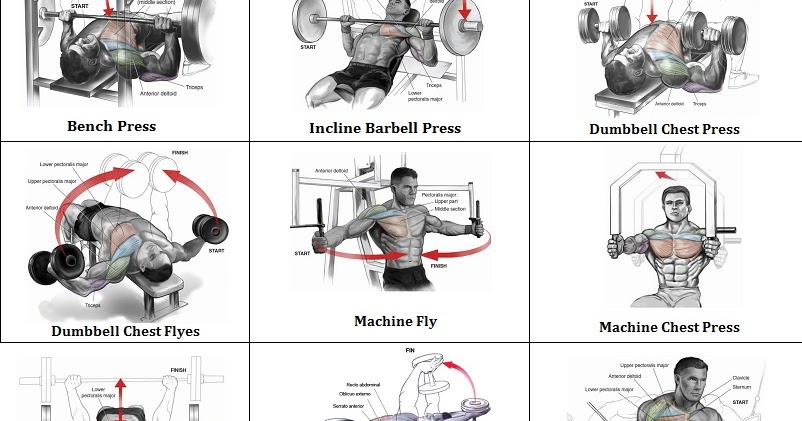 Best Workout Chest Routine - Exercise Your Chest Once a Week ~ multiple ...