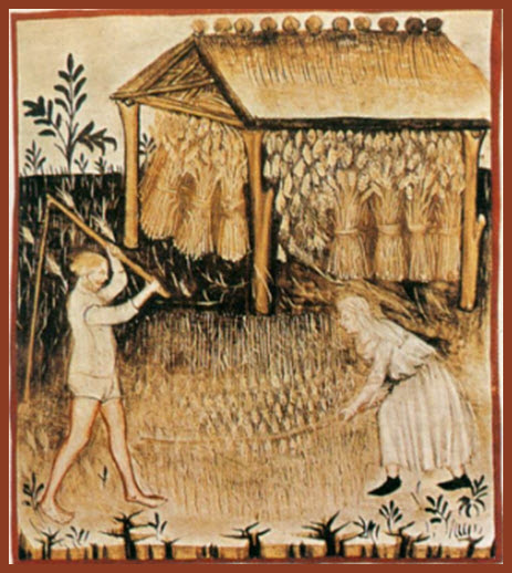 S T R A V A G A N Z A: AGRICULTURE IN MEDIEVAL ITALY