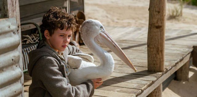 At Darren's World of Entertainment: Storm Boy: DVD Review