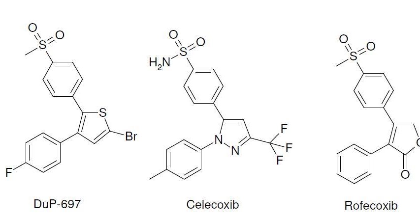 Il Chimico Scettico: NSAID, V E ULTIMO - SELETTIVITA': COXIB, VIOXX, LA ...