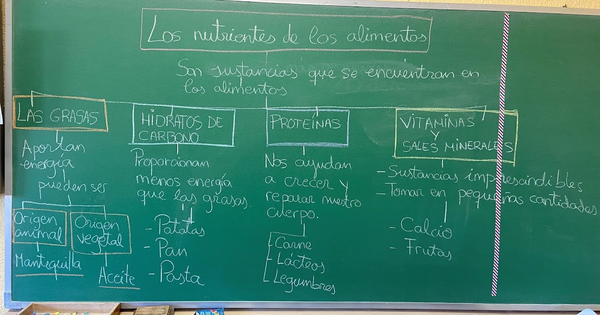 Tercero de Primaria (M. Benlliure): LOS ALIMENTOS Y SUS NUTRIENTES.