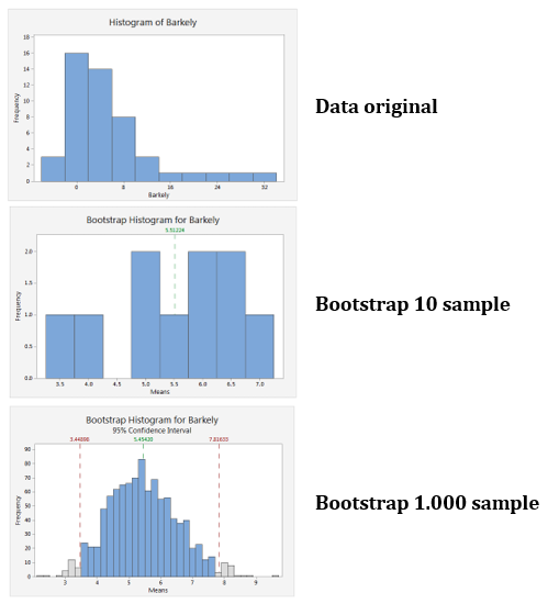 Berkenalan dengan Bootstrapping dalam Statistik - Semesta Psikometrika