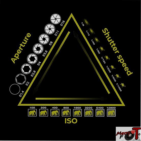 UNDERSTANDING APERTURE IN EXPOSURE TRIANGLE