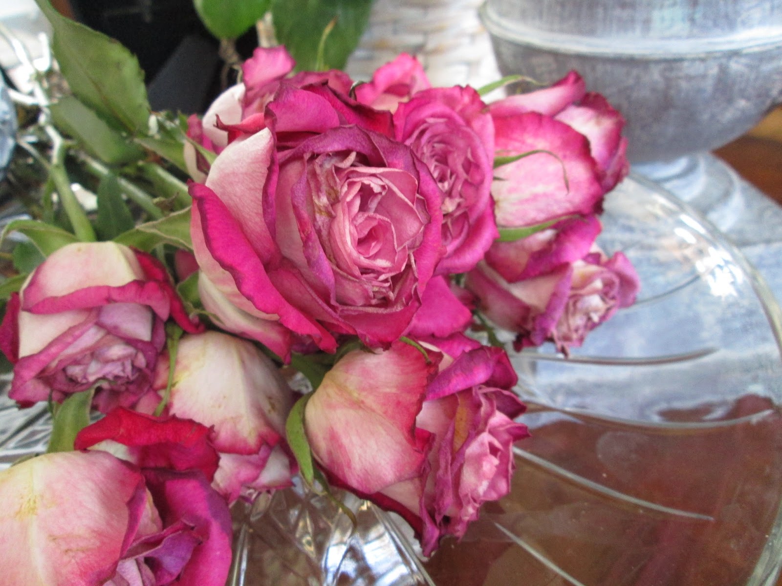 DIY-Drying Roses - At Home with Jemma