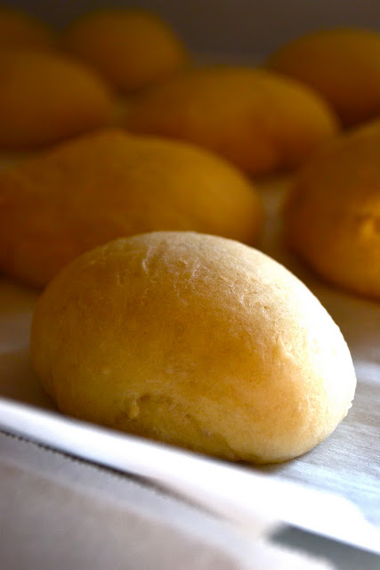 Made Purely From Scratch: Oh-So Yummy Dinner Rolls!