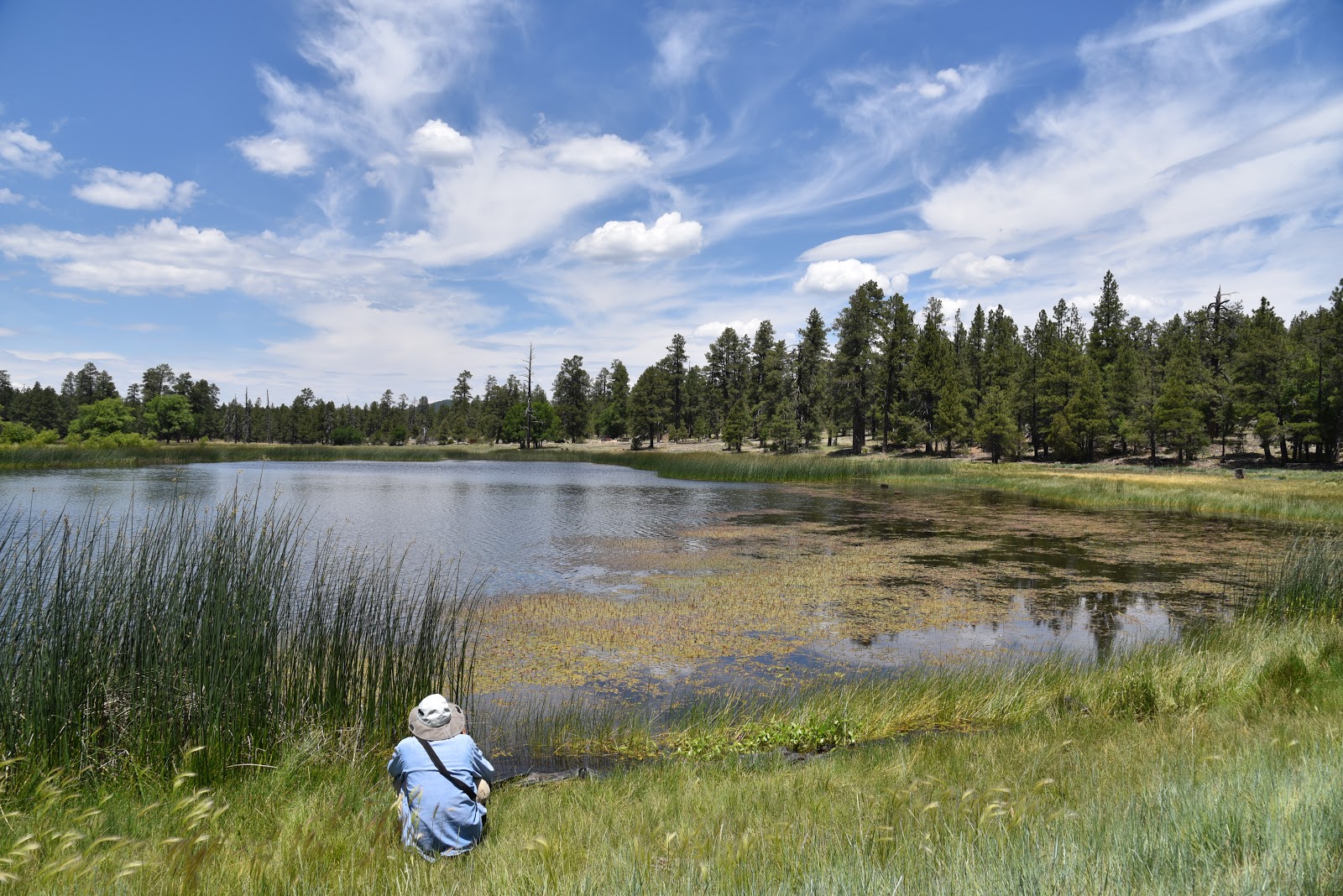Arizona Hiking: Perkins Tank and JD Dam Lake