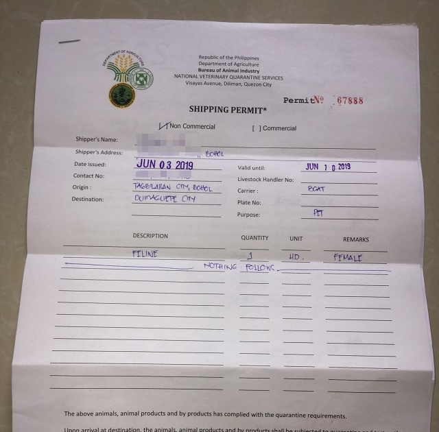 Local Shipping Permitの申請はオンライン必須なのか？-フィリピンから日本へ猫を輸入した体験記