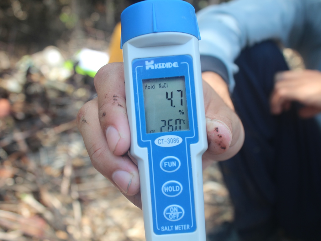 KeSEMaTBLOG: KeSEMaT Sukses Gelar Mangrove Training 2019: Program ... KeSEMaTBLOG: KeSEMaT Sukses Gelar Mangrove Training 2019: Program ...