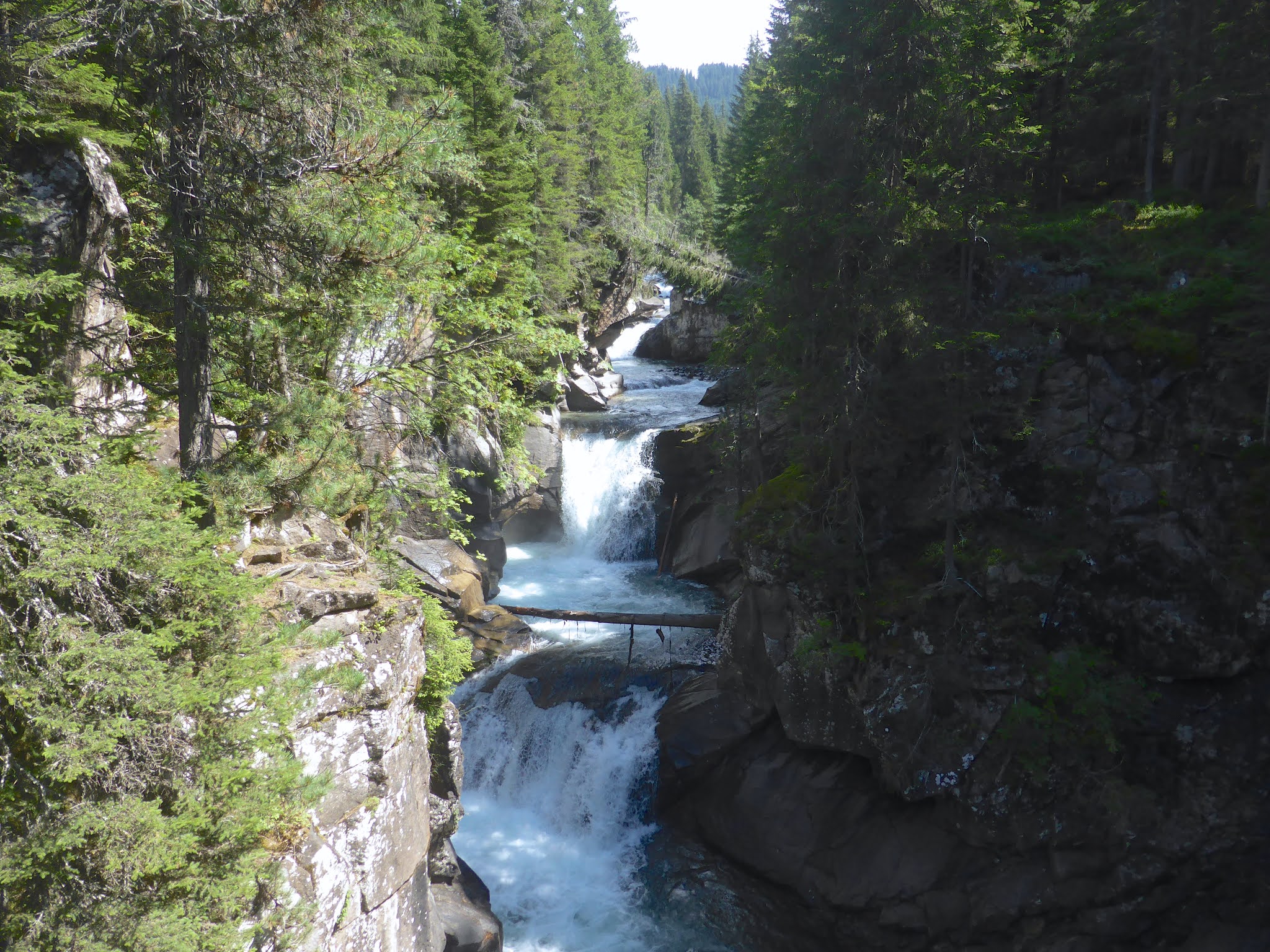 Facciamo un giro in centro?: PARCO NATURALE DI PANEVEGGIO