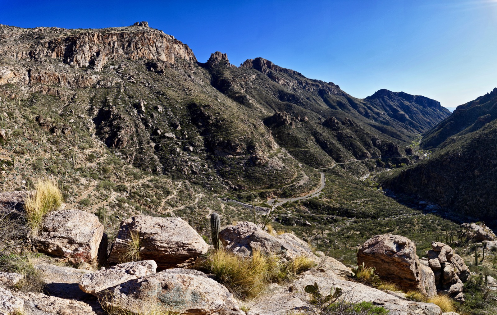 Earthline: The American West: Box Camp Trail, Pusch Ridge Wilderness