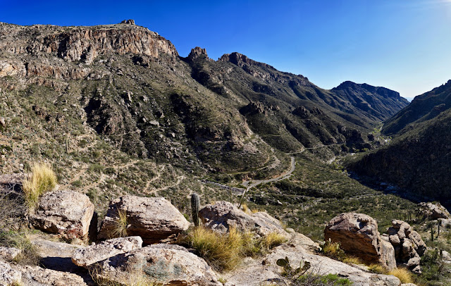 Earthline: The American West: Box Camp Trail, Pusch Ridge Wilderness