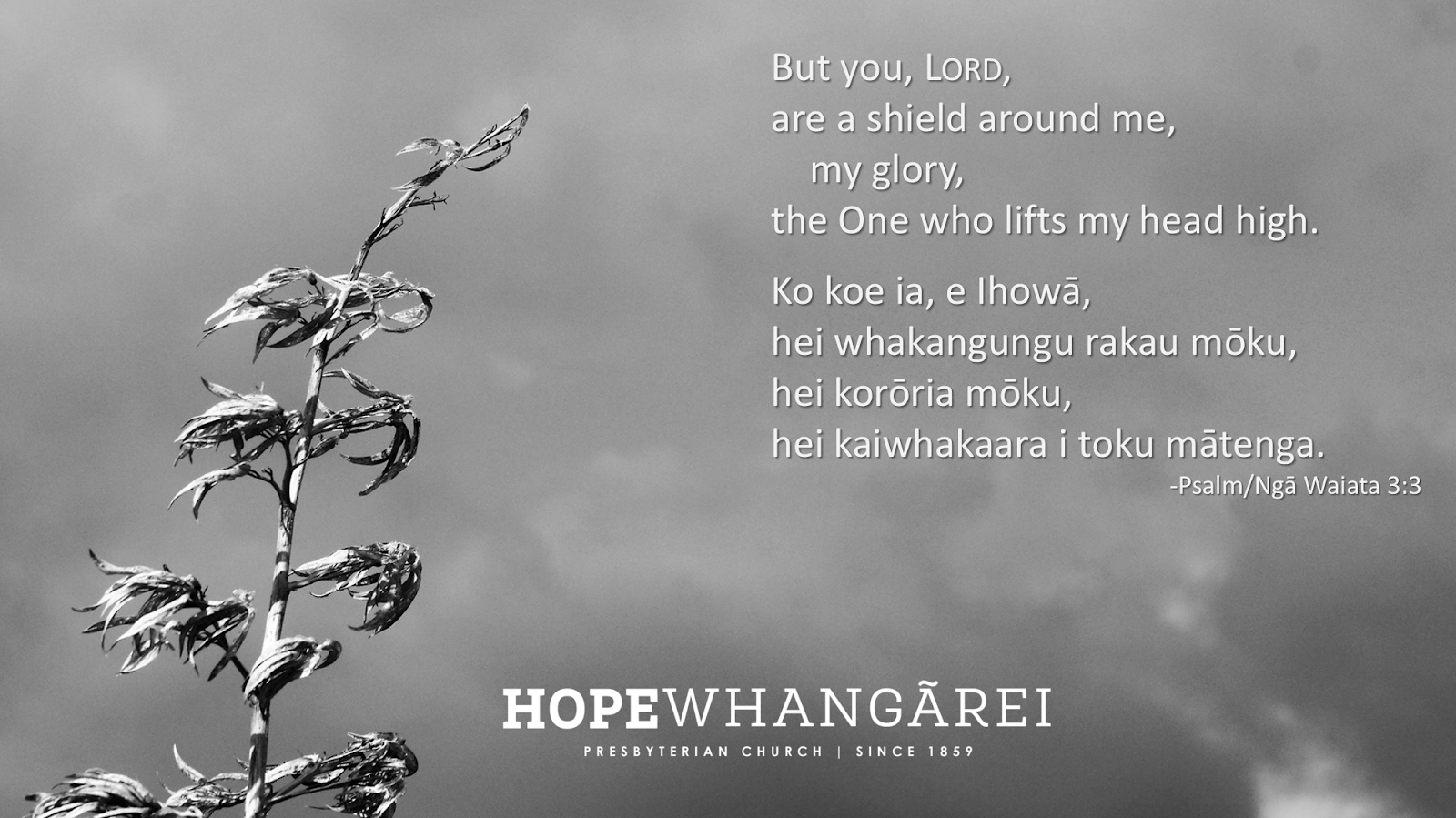 HOW IN THE WORLD Psalm 3 the Glory And The Lifter Of My Head how-in-the-world-psalm-3-the-glory-and-the-lifter-of-my-head