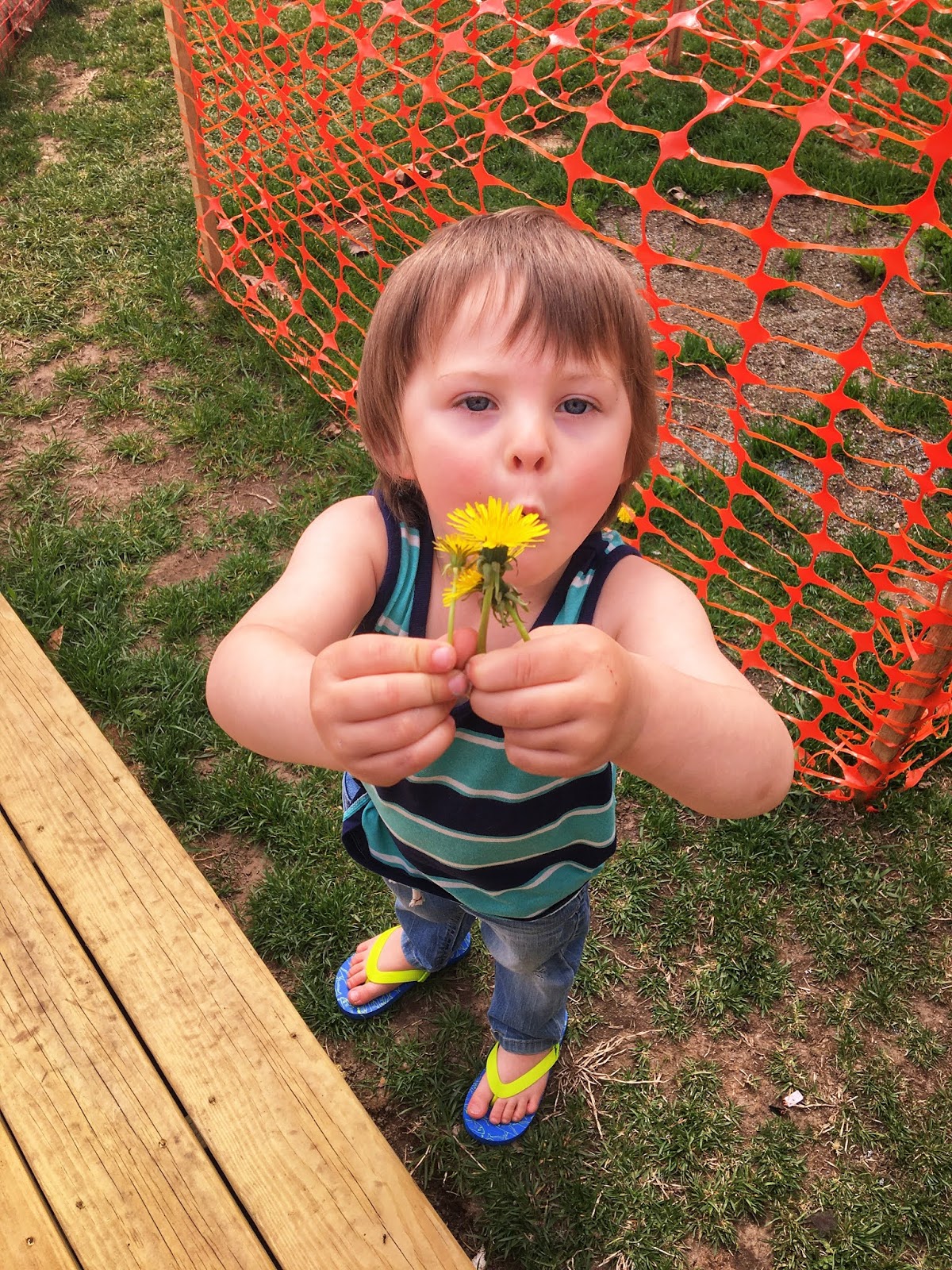 5 Outdoor Chores for Kids