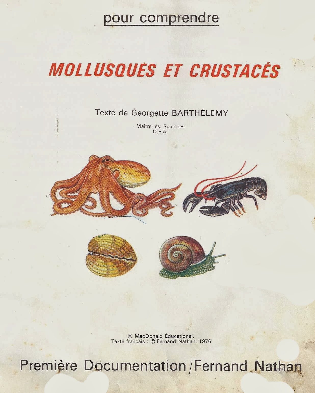 Leçons de choses: Mollusques et crustacés