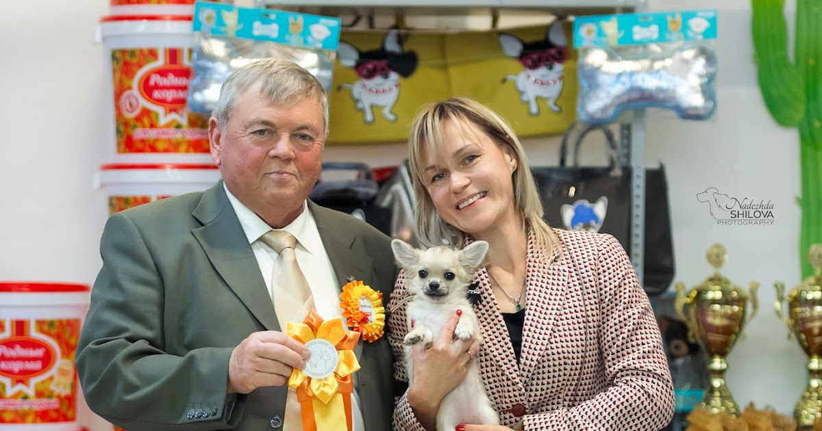 BAIKAL-UNION: выставки