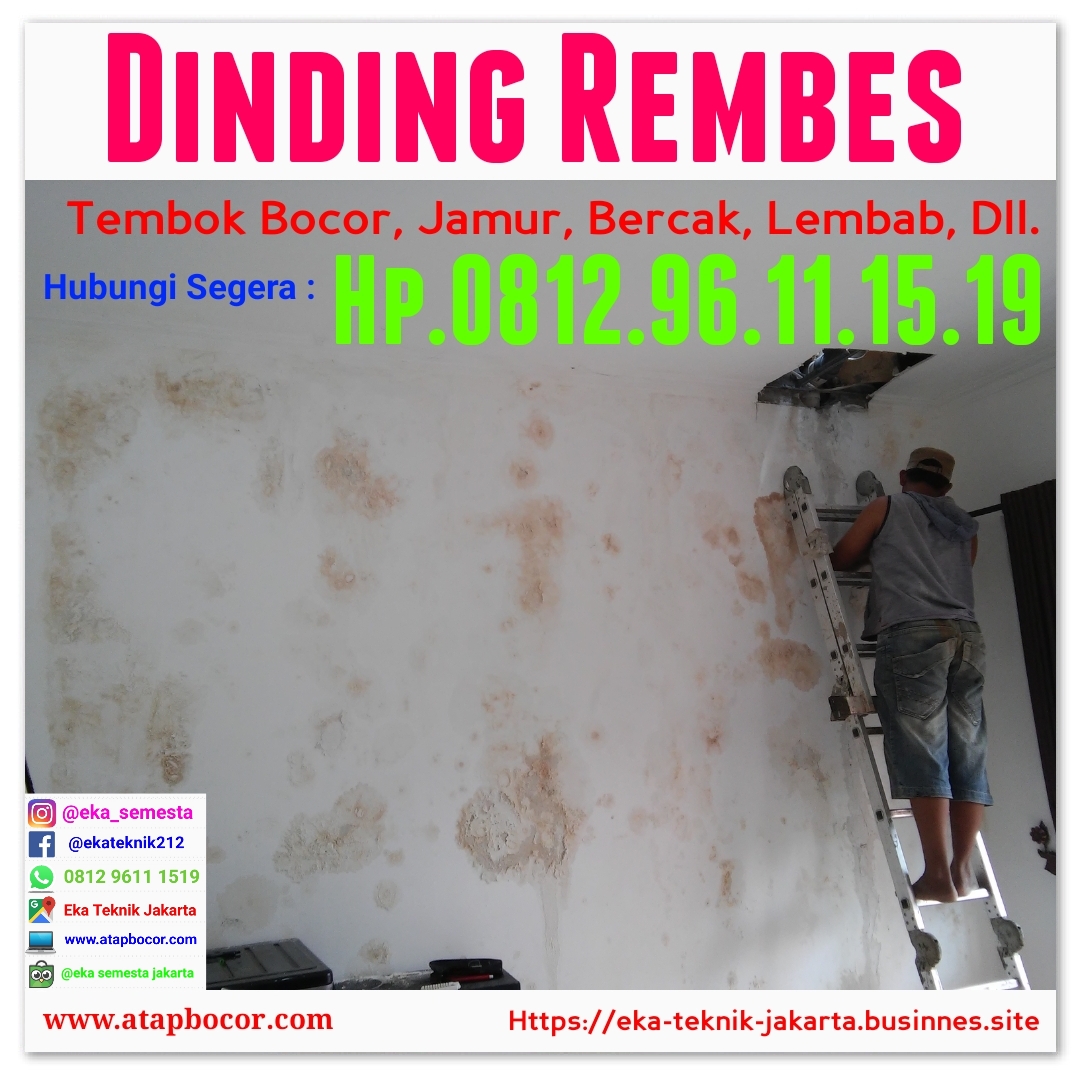 Contoh Dinding Rembes | Lembab | Tembok Bocor