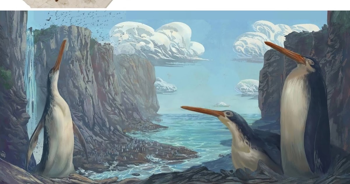 Species New to Science: [PaleoOrnithology • 2021] Kairuku waewaeroa • A ...