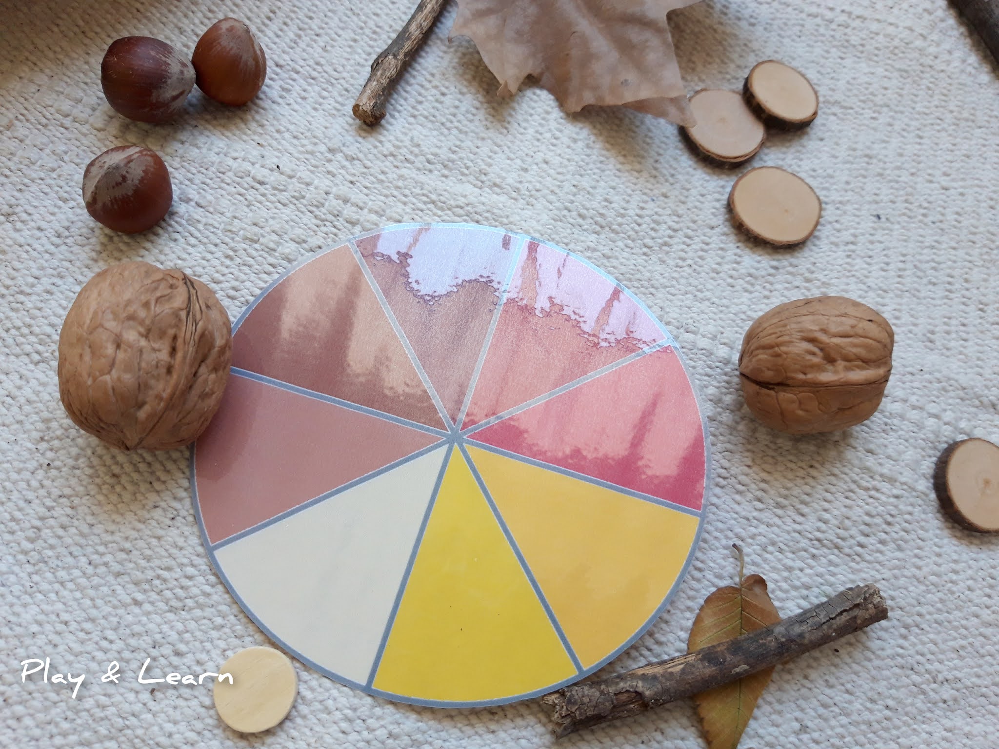 Rueda de colores del otoño