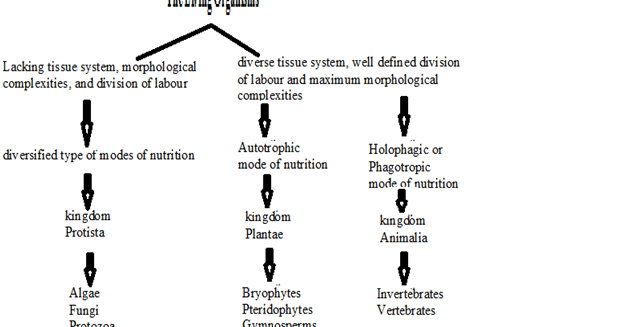 Department of Botany, Girraj Govt. College: Classification of Living ...
