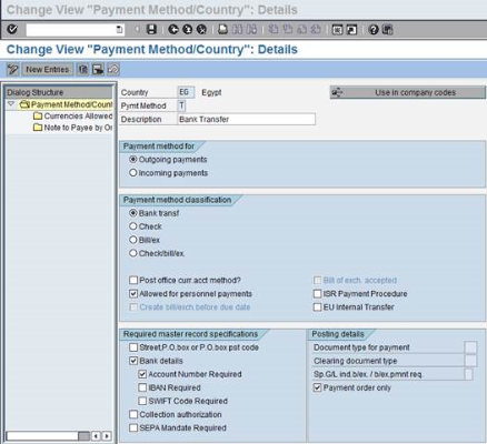 SAP FICO Central: Payment Order Configuration
