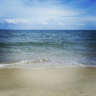 The Blog of Edwin S. Porter, DDS, FAGD