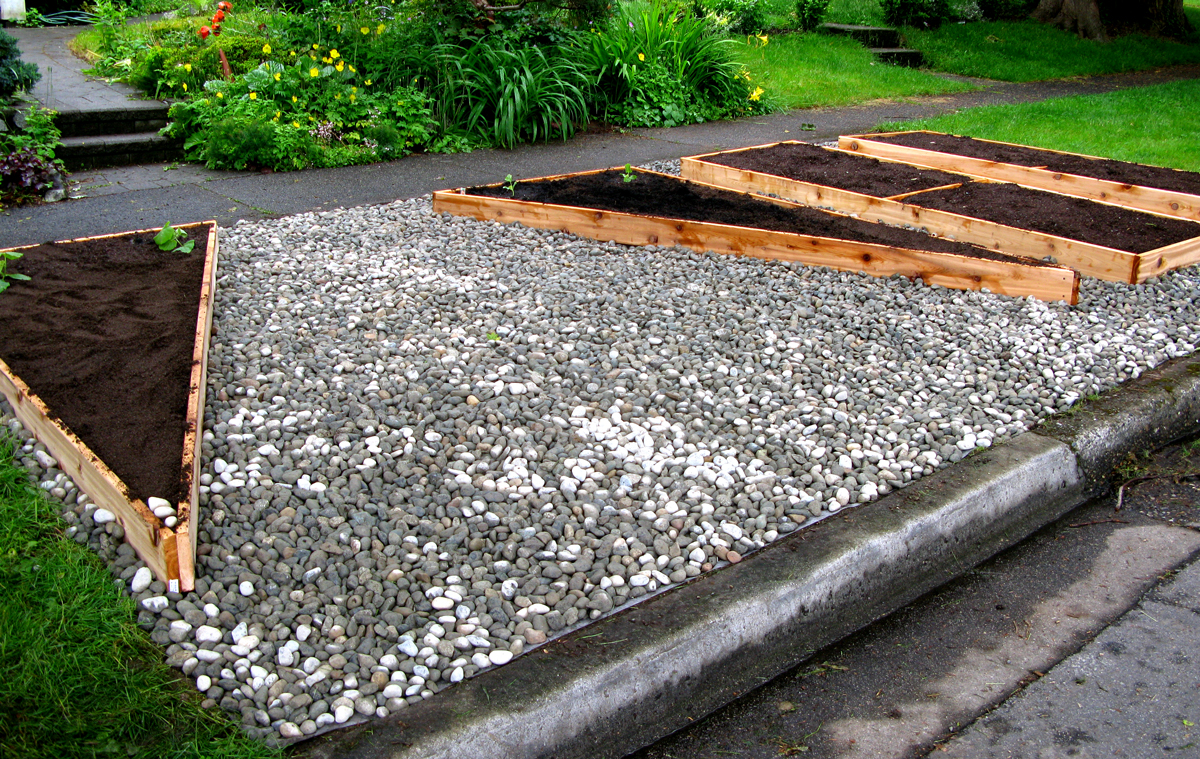 Growing Edibles in Vancouver, British Columbia: Vegetables in the Front ...