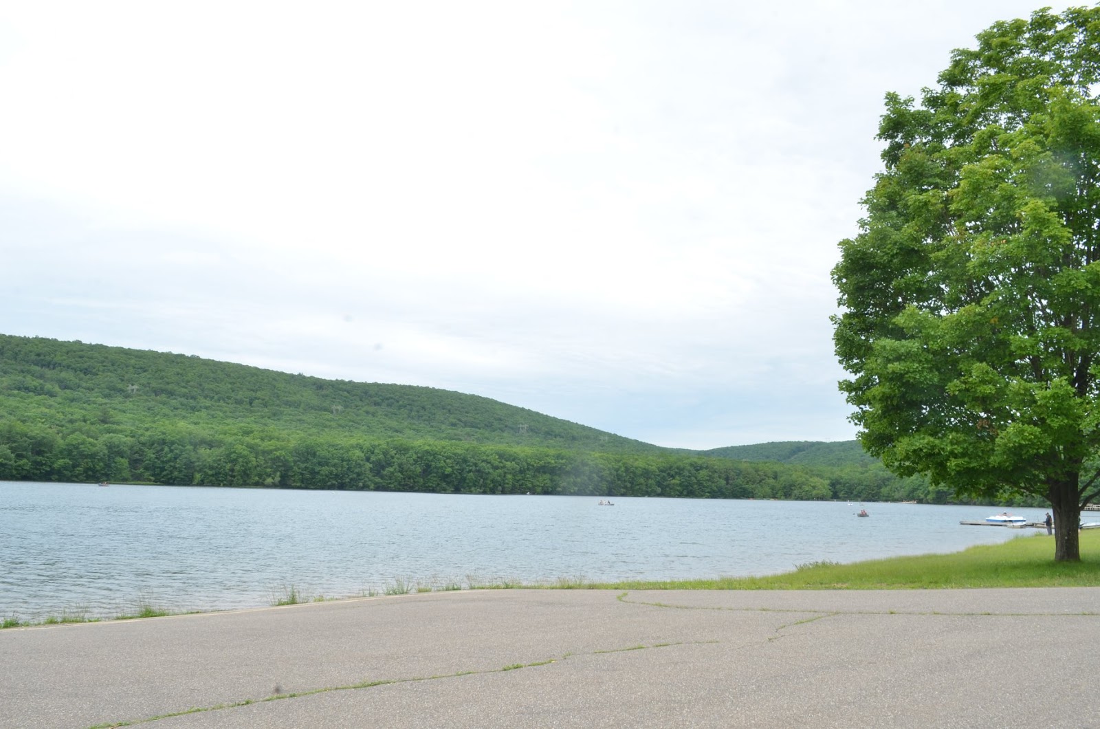 Locust Lake State Park Beach Reopens to Swimming