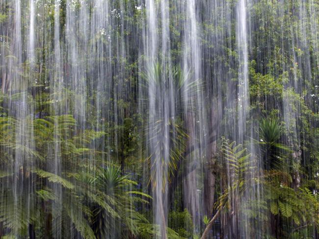 RAINIEST PLACE ON THE EARTH