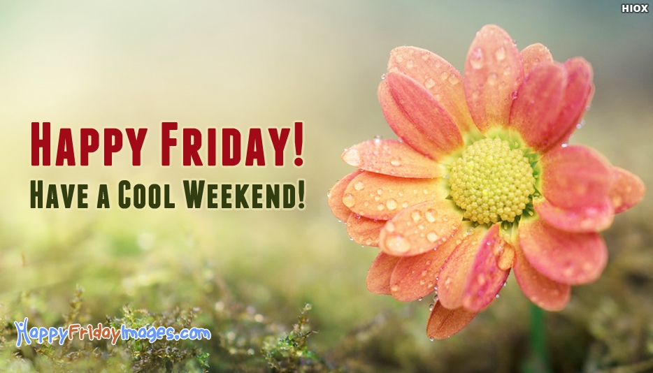 Блог учителя англійської мови Іванчик Ольги Анатоліївни: Дистанційне ...