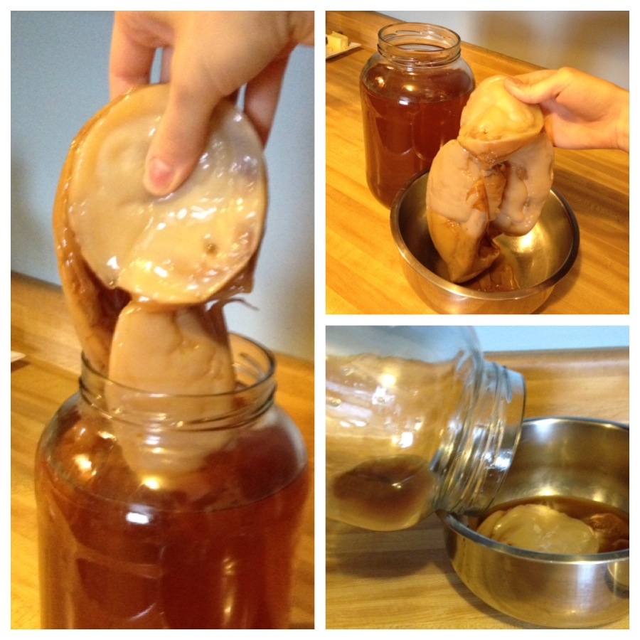 A Little Dancer: Brew Your Own Kombucha!