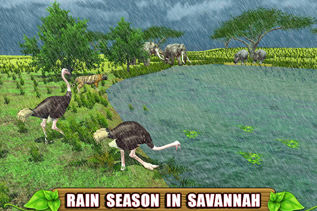 Glufun Games: Furious Ostrich Simulator