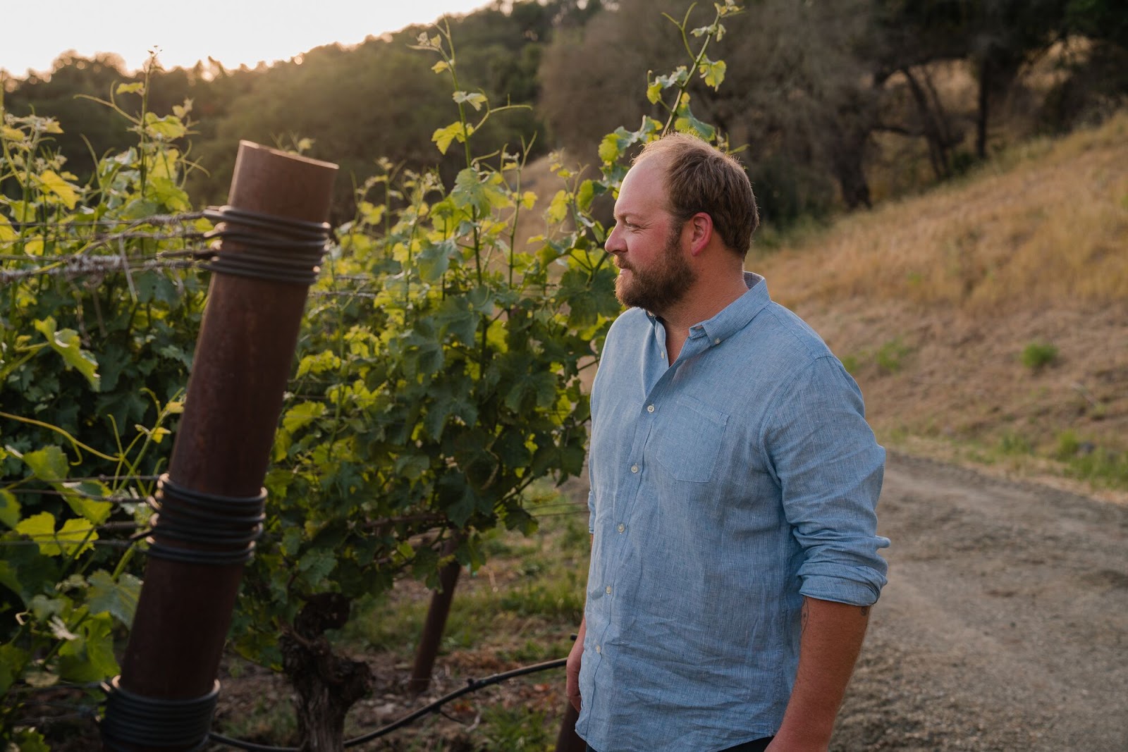 The Wine Write: A Conversation With Casey Stringer of Stringer Cellars
