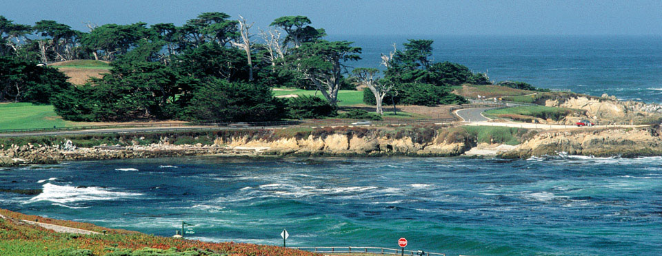 www.fromatravellersdesk.com: An Amazing 17-Mile Drive at Pebble Beach ...