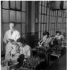 Elton Mayo y los experimentos de Hawthorne | Conocer Ciencia