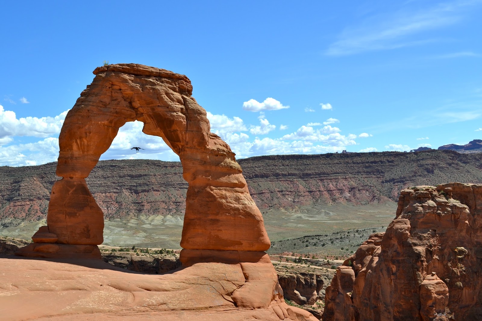 Jimerica! The Epic Road Trip.: Moab, Utah