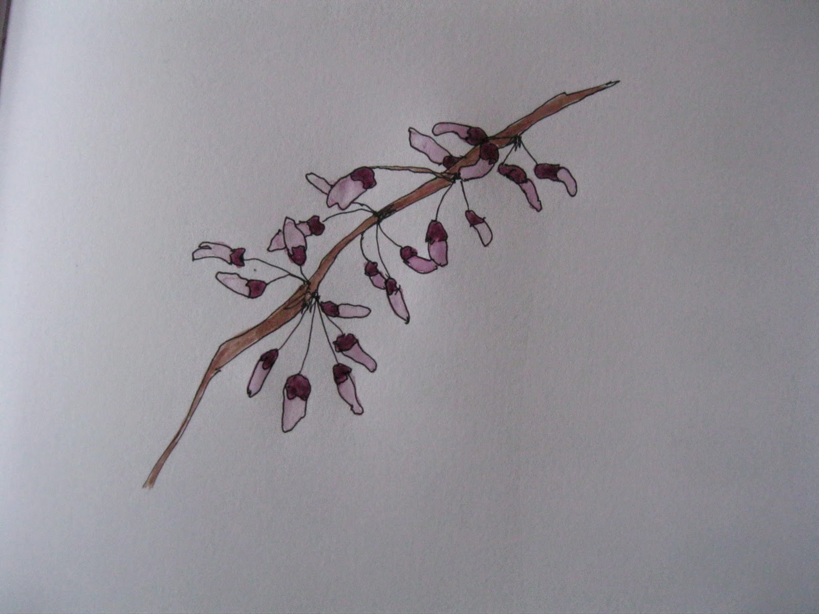 Studio Notes: May 2014