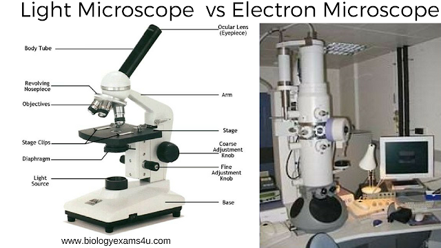 Difference between Light Microscope and Electron Microscope (Light ...