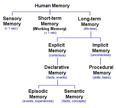 What are memories?|How memories are formed?