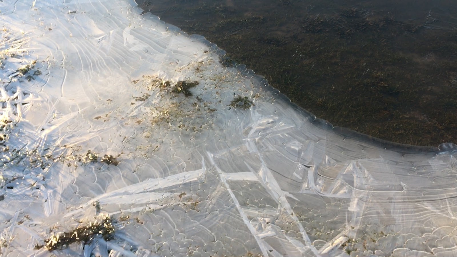 It's a wonderful life: The essence of water