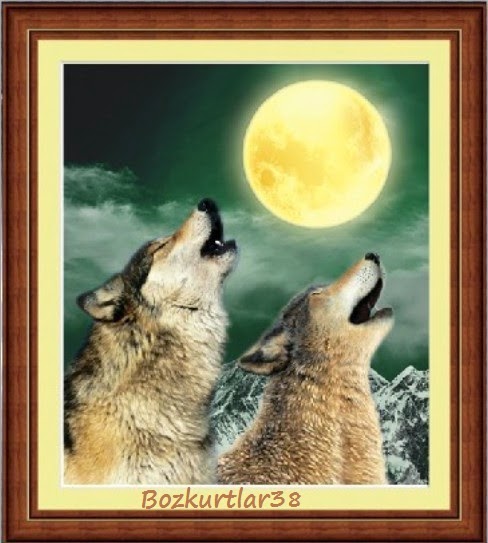 Bozkurtlar: Bozkurt Duvar Resimleri
