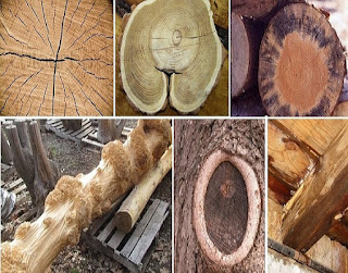 Defects in Wood | Wood Defects - Blogger Nepal