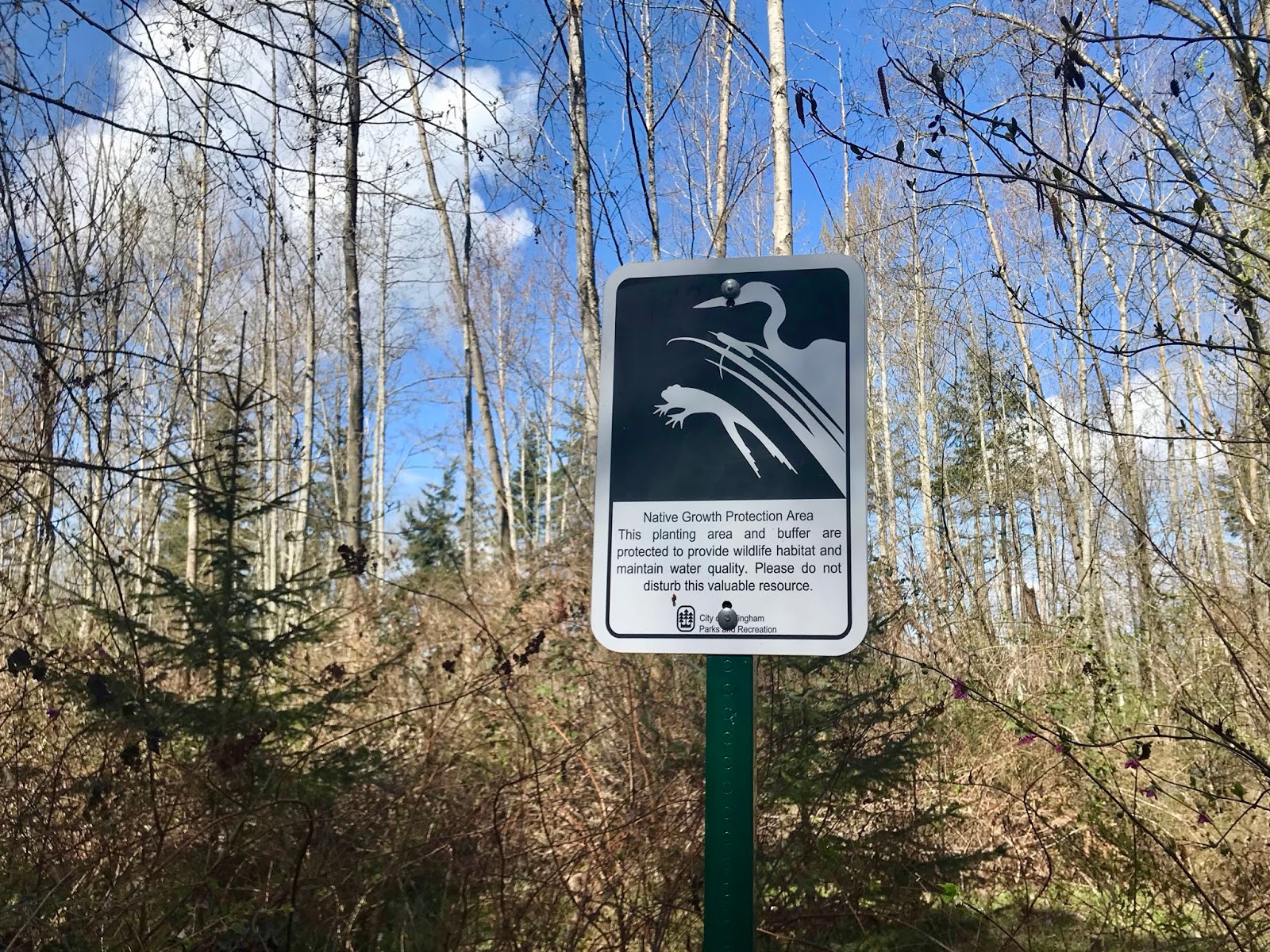 Margy Meanders: Exploring Bellingham: The Division Street Trail