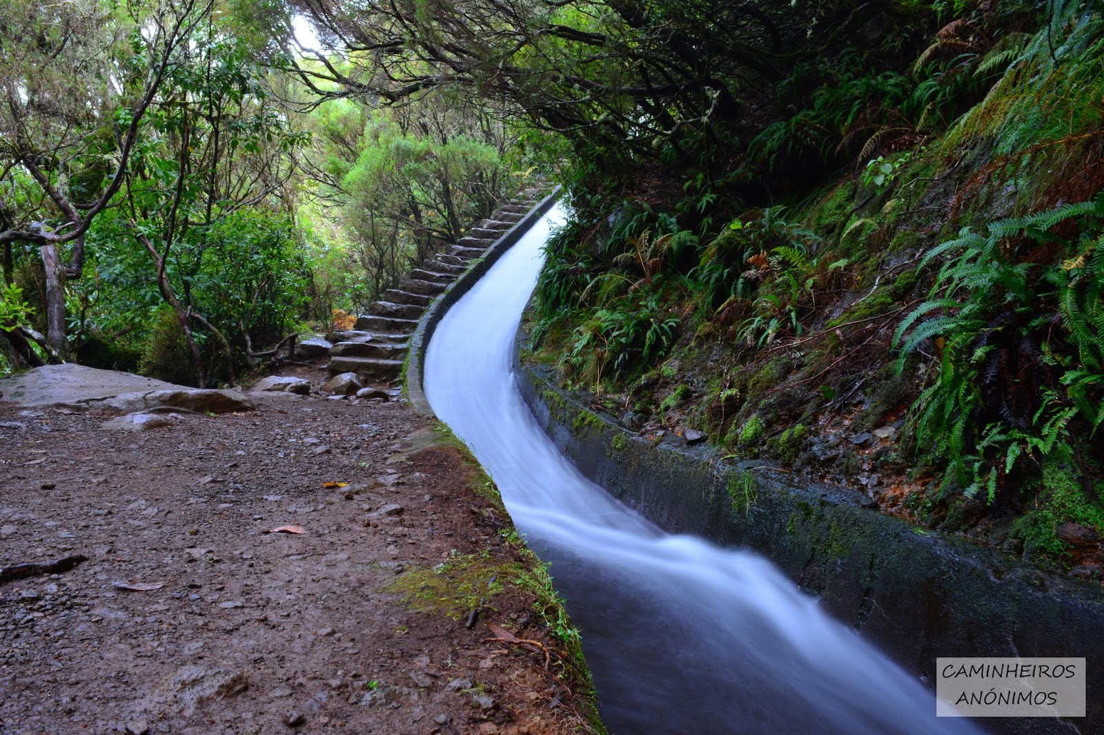 Caminheiros Anónimos Levadas da Madeira : Levada Grande do Paul (Calheta)